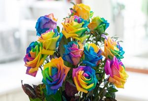 What Color Means Love? A Complete Guide to Romantic Symbolism in Colors ...